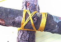 Andy's Most Useful Knots